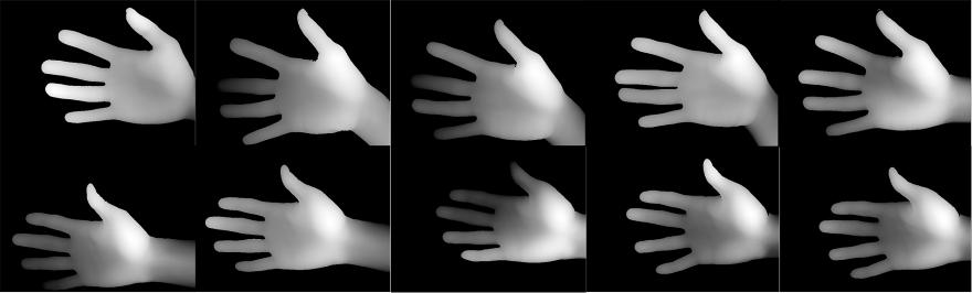 The Hong Kong Polytechnic University Contactless 3D Palmprint Images ...