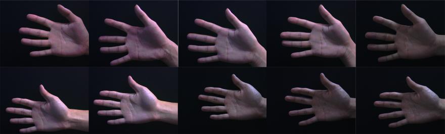 The Hong Kong Polytechnic University Contactless 3D Palmprint Images ...